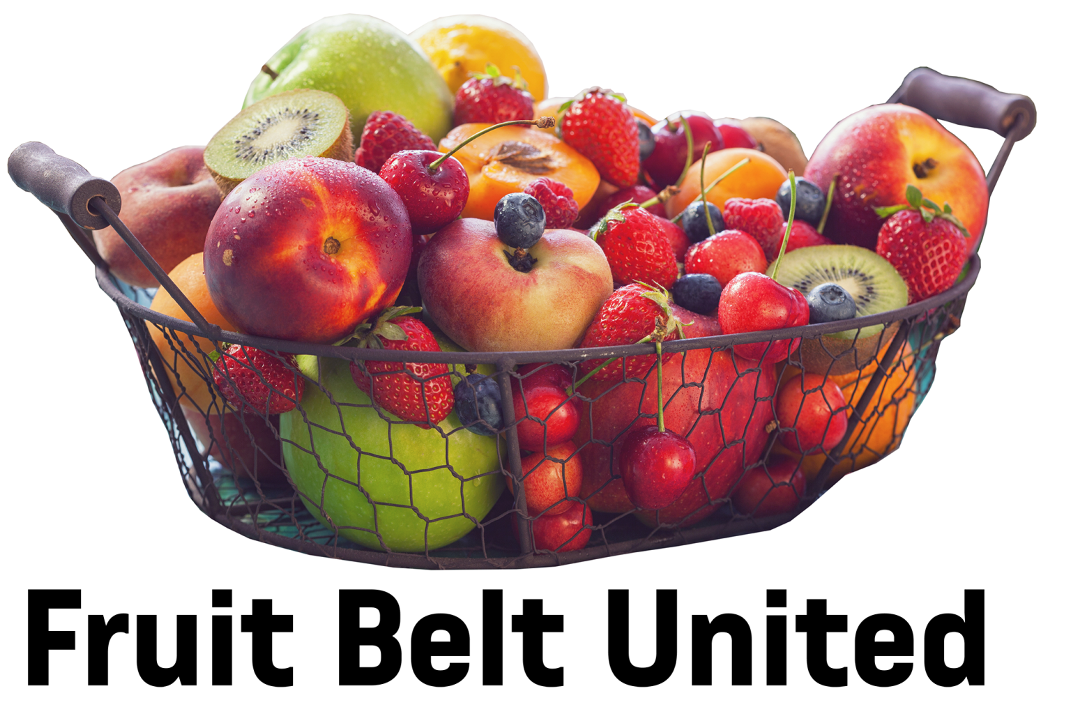 Fruit Belt United – Buffalo, New York